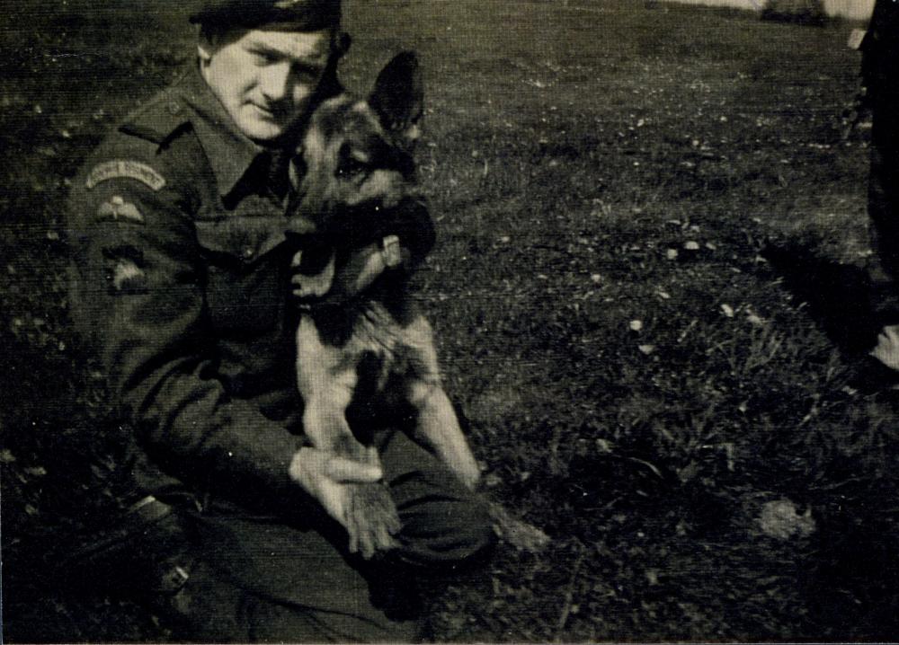 #ForgottenFriday - Dogs in WW2 - Eden Camp Modern History Museum
