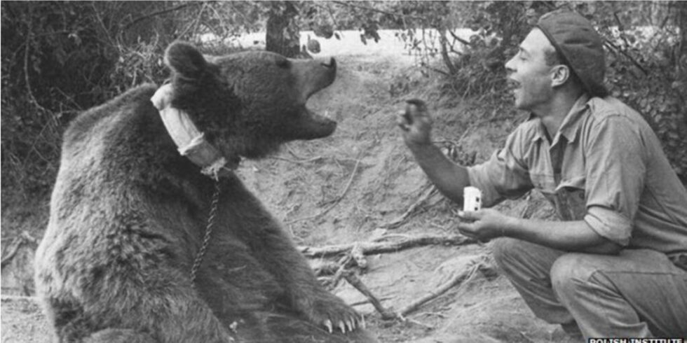 #Forgotten Friday: The Bear Soldier of the Second World War - Eden Camp ...